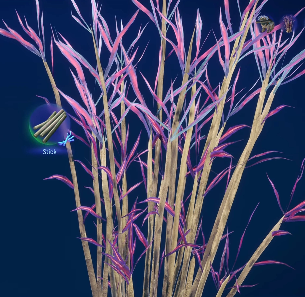 Archer's Thicket | Avatar Wiki | Fandom