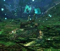 Tree of Vision | Avatar Wiki | Fandom