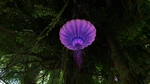 Panopyra | Avatar Wiki | Fandom