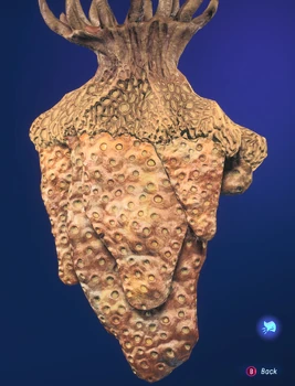 Swamp Hive | Avatar Wiki | Fandom