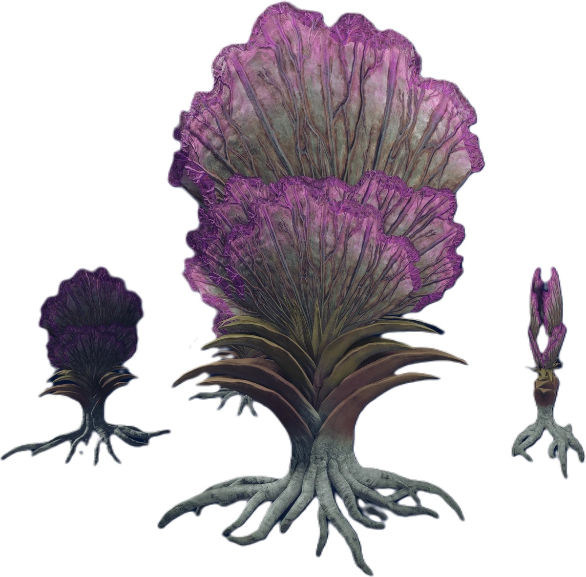 Gateway Lily | Avatar Wiki | Fandom