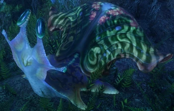 Coronet Snail | Avatar Wiki | Fandom