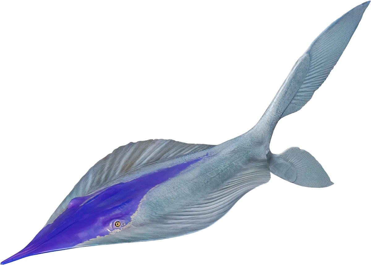 Flat Skate Fish | Avatar Wiki | Fandom