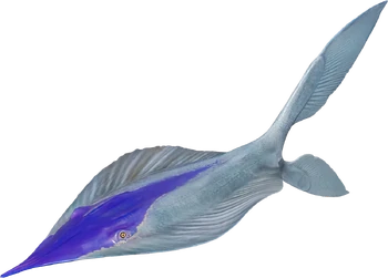 Flat Skate Fish | Avatar Wiki | Fandom