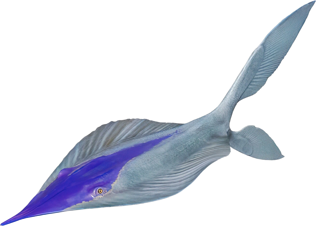 Flat Skate Fish | Avatar Wiki | Fandom
