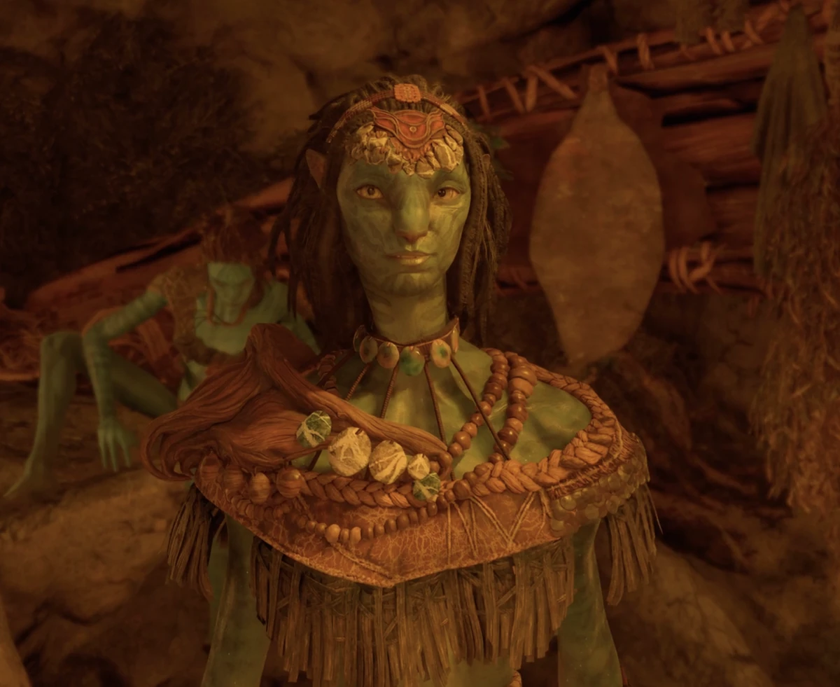 Anufi's Favor | Avatar Wiki | Fandom