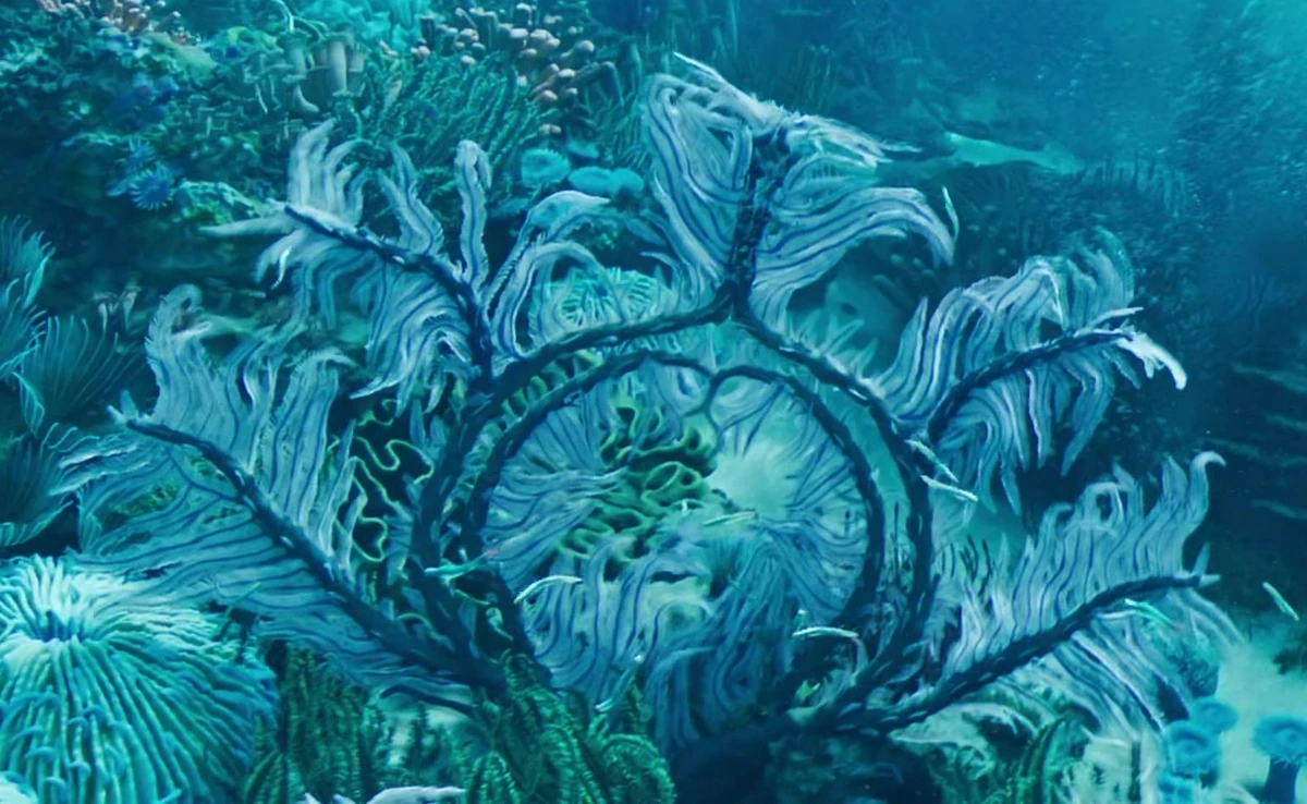 Fantail | Avatar Wiki | Fandom