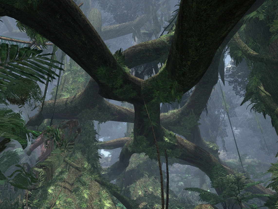 The Tangle | Avatar Wiki | Fandom