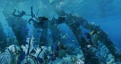 Starbeak | Avatar Wiki | Fandom