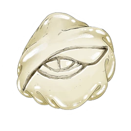 Anurai Clan | Avatar Wiki | Fandom