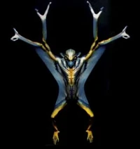 Prolemuris | Avatar Wiki | Fandom