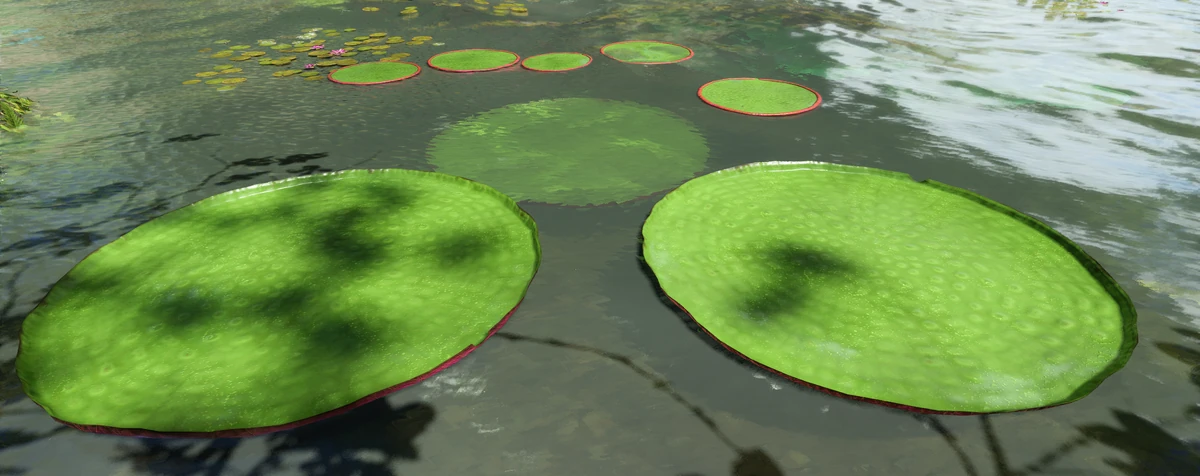 Water Moon Lily | Avatar Wiki | Fandom