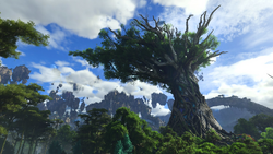 Hometree | Avatar Wiki | Fandom