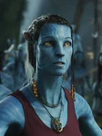Avatar (species) | Avatar Wiki | Fandom