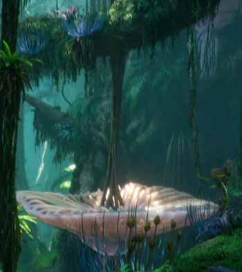 Panopyra | Avatar Wiki | Fandom