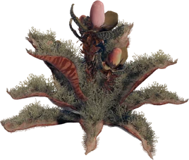 Pale Fire Seed | Avatar Wiki | Fandom