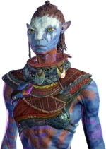 Zeswa Clan | Avatar Wiki | Fandom