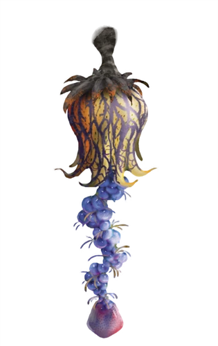 Celia Fruit Tree | Avatar Wiki | Fandom