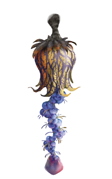 Celia Fruit Tree | Avatar Wiki | Fandom