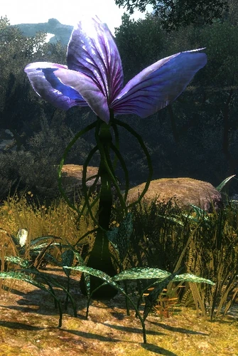 Tulipthorn | Avatar Wiki | Fandom