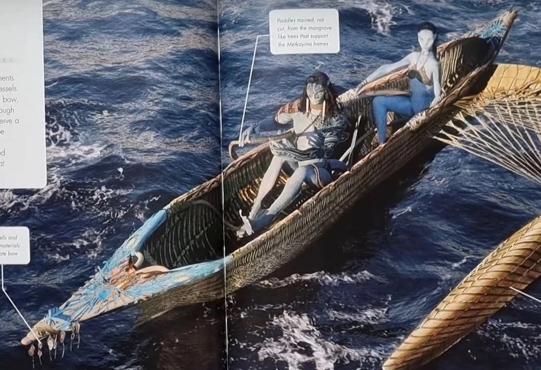 Metkayina Canoe | Avatar Wiki | Fandom