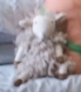 George The Sheep | James Early Wiki | Fandom