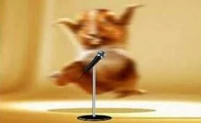 Hamster Dance (Ringtone) | Jamster Wiki | Fandom