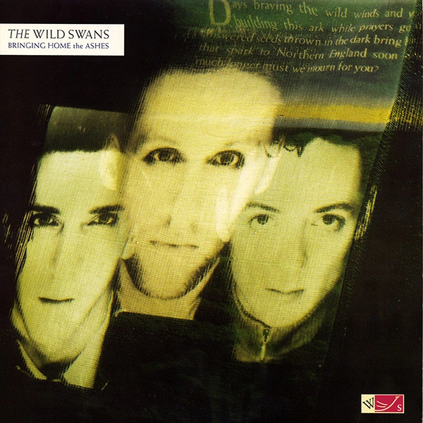 The Wild Swans | Janice Long Wiki | Fandom