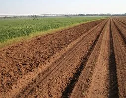 Soil | Japanese Kanji Wiki | Fandom