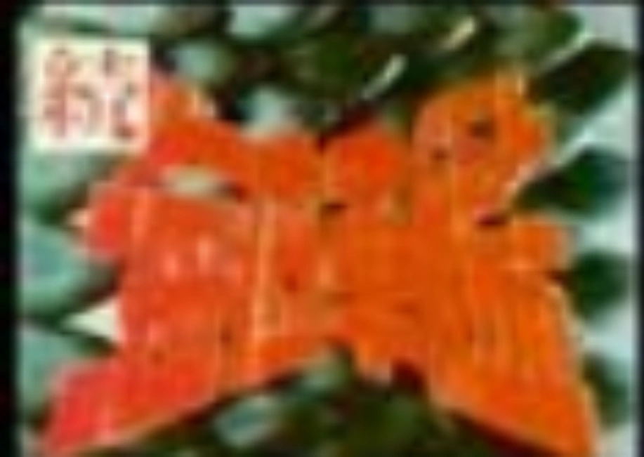 Atragon 2 | Japanese Movies Wiki | Fandom