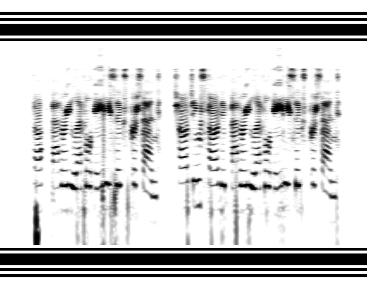 Phonopaper | Jason df Wiki | Fandom