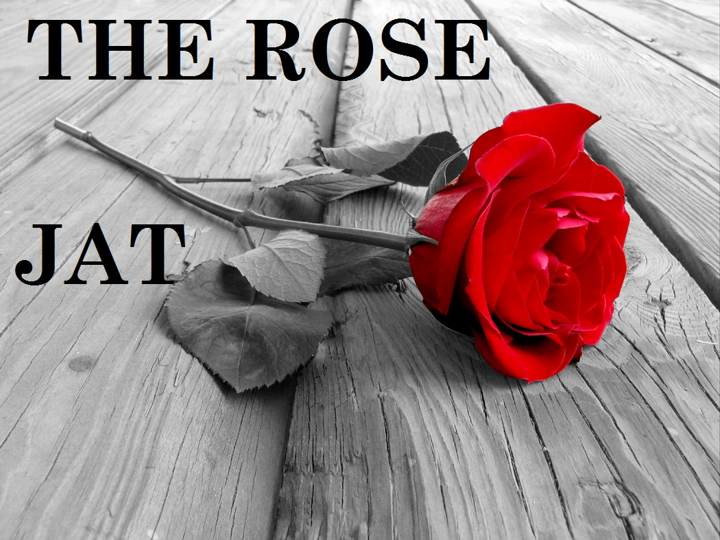 The Rose (JAT cover) | JAT Wiki | Fandom