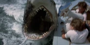 Brucette | Jaws Wiki | Fandom