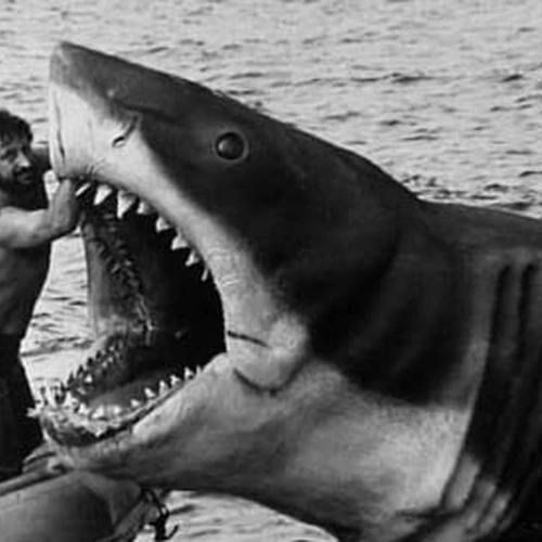 Jaws 7