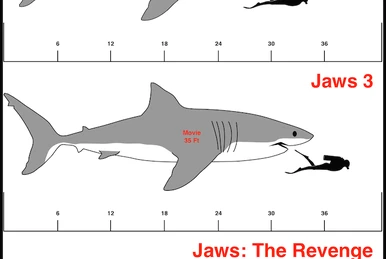 jaws 2 size