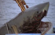 Brucette | Jaws Wiki | Fandom