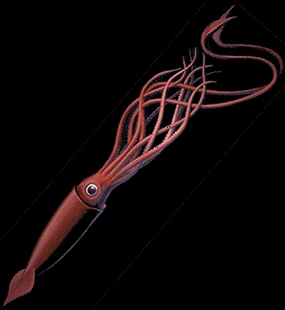 Immature Colossal Squid | Jaws Unleashed Wiki | Fandom