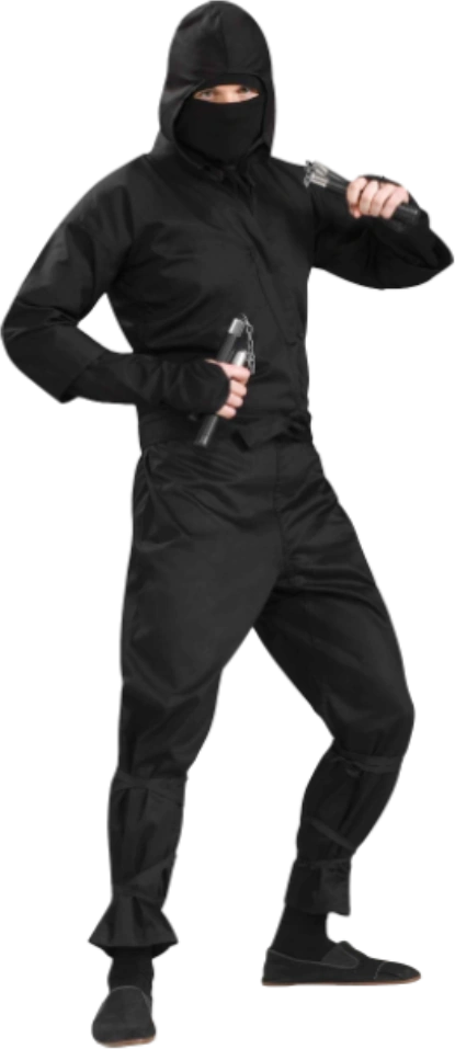 Ninja | JaymenObjects Wiki | Fandom