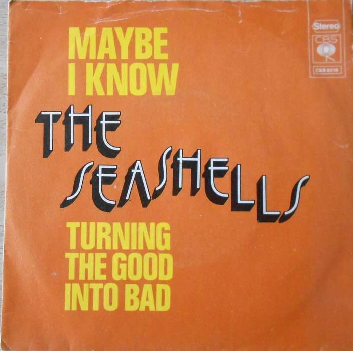 The Seashells | Jay's Music Search Wiki | Fandom