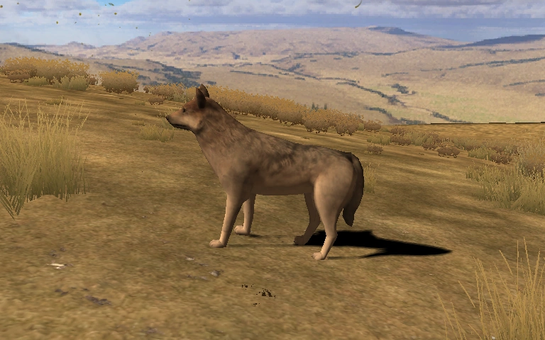 Lauren | Jay Plays WolfQuest Wiki | Fandom