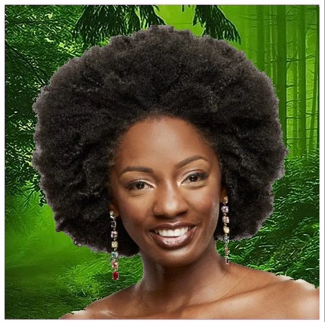 Panda | JAY'S ONLINE REALITY GAMES Wiki | Fandom