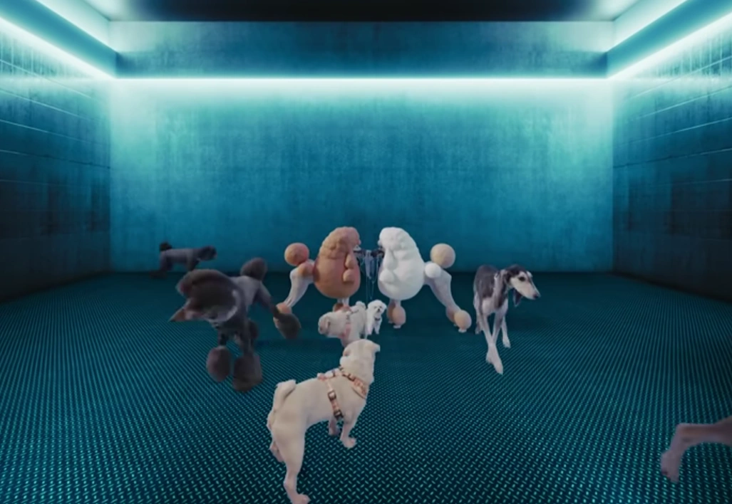 Puppies | Jazmin Bean Wiki | Fandom