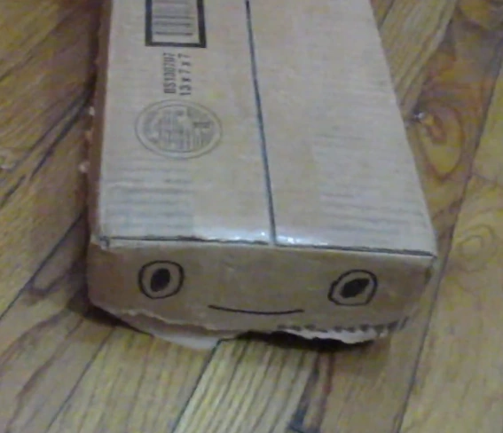 Jimmy (Cat) | JC Foster Takes it to the Moon Wiki | Fandom