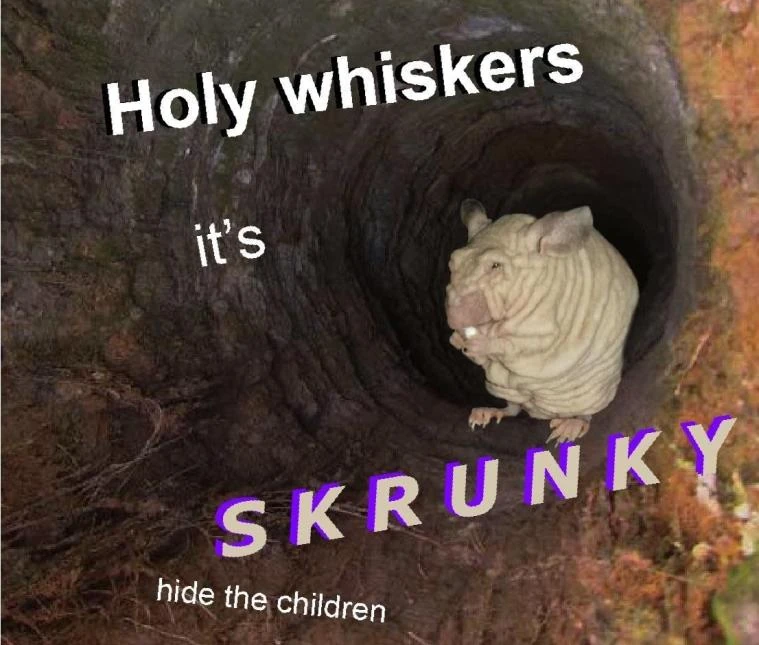 Skrunky | JC Foster Takes it to the Moon Wiki | Fandom