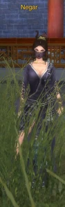 Negar | Jade Dynasty Wiki | Fandom
