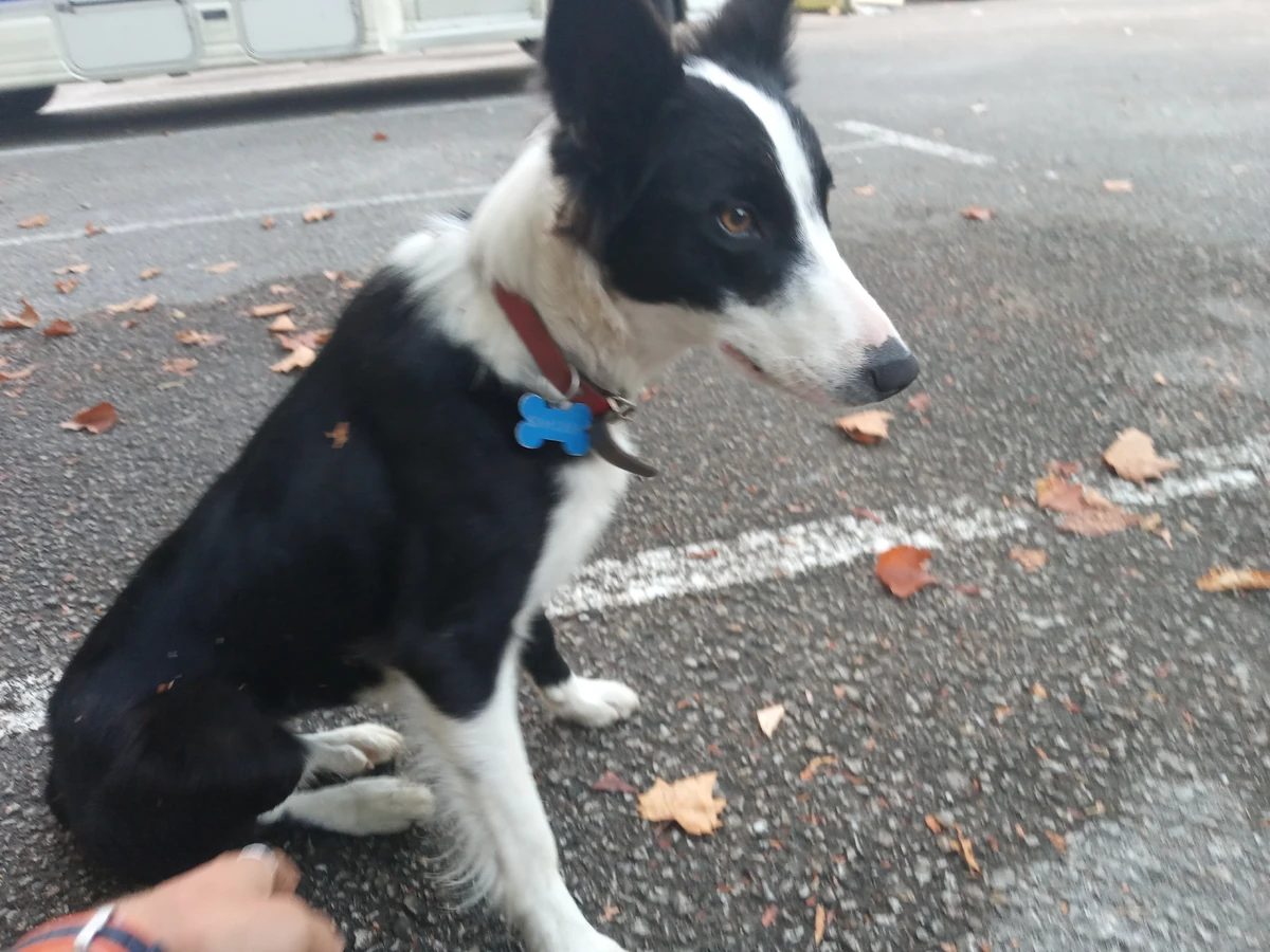 Luna | Wiki Jean-Bru | Fandom