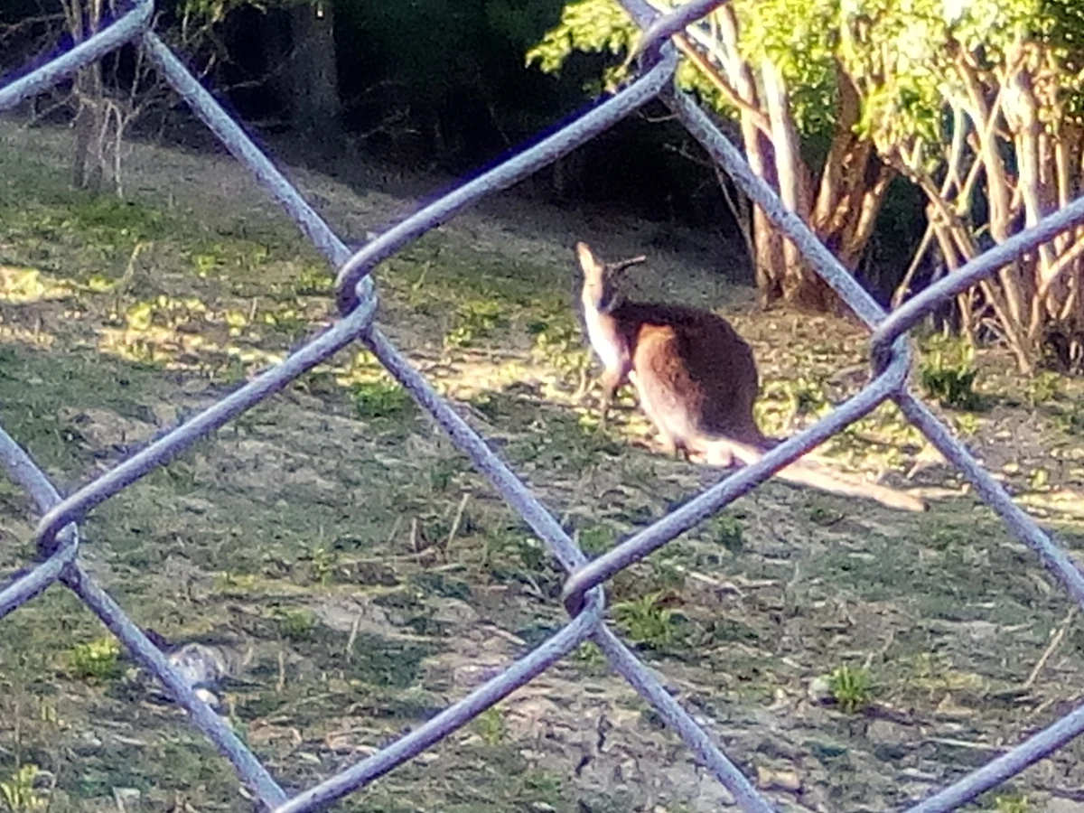 Clayton | Wiki Jean-Bru | Fandom