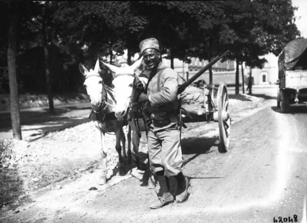 Moussa Bakhos | Wiki Jean-Bru | Fandom