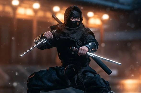 Ninja | JediMUD Wiki | Fandom