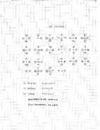 Star Wars | JediMUD Wiki | Fandom